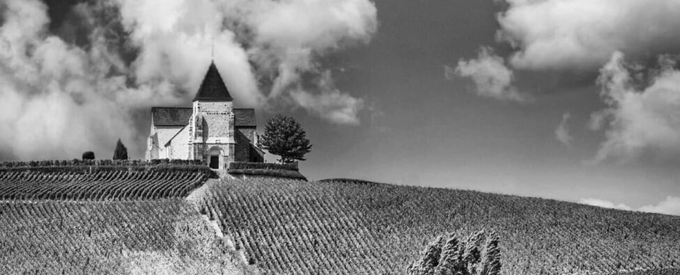 Paul Louis Martin: Champagner aus Bouzy online kaufen
