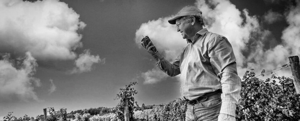 Weingut Fritz Wieninger Weine: Jetzt einfach online kaufen